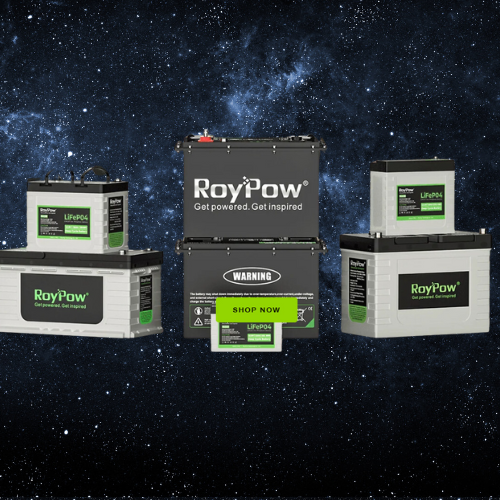 RoyPow Lithium Golf Cart Batteries and Parts – Battery World